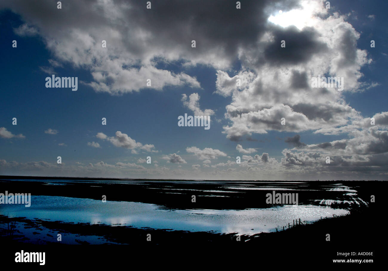 FREISTON SHORE RSPB NATURE RESERVE LINCS SHOWING NEWLY FLOODED AREA ...