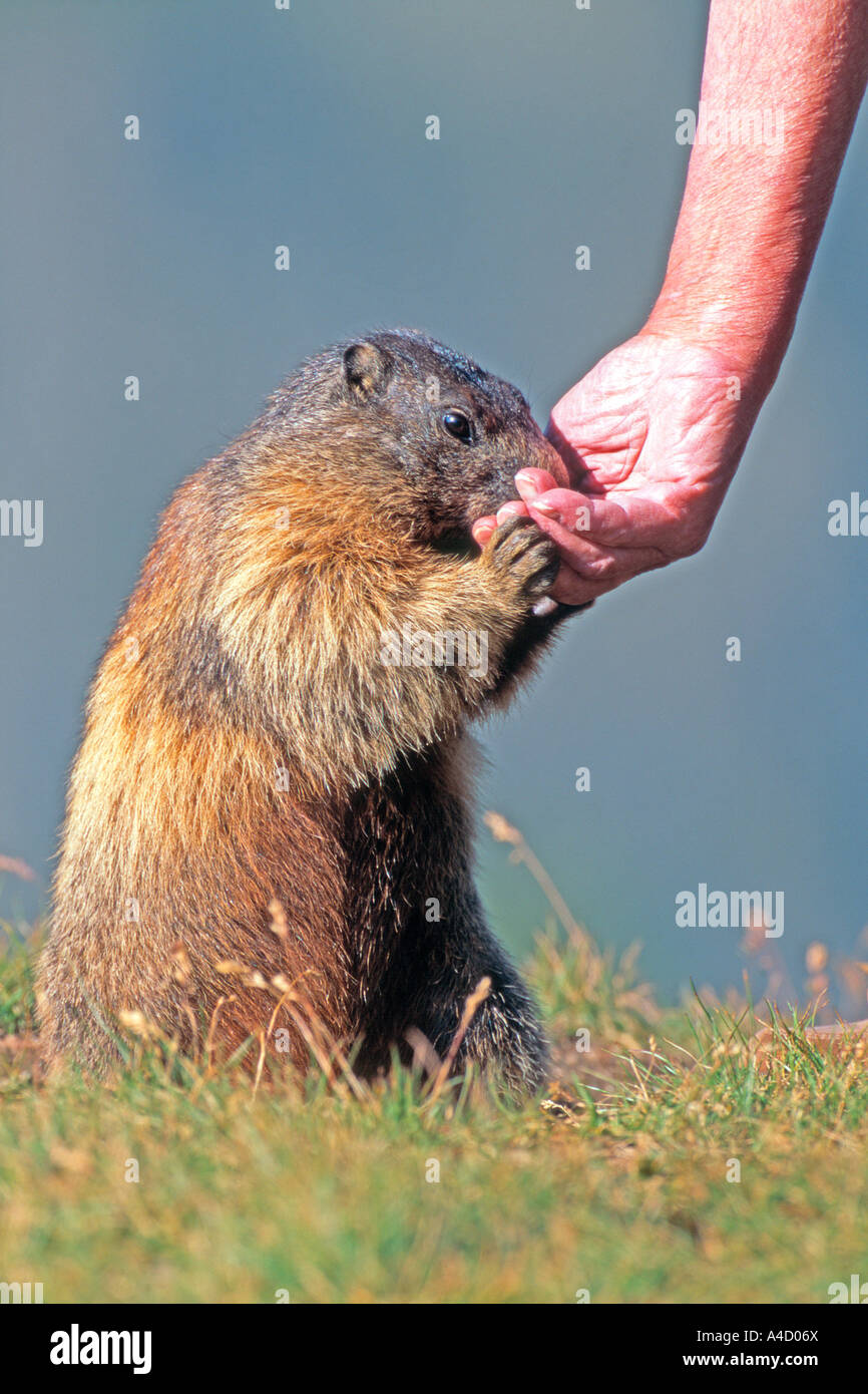Handout hi-res stock photography and images - Alamy