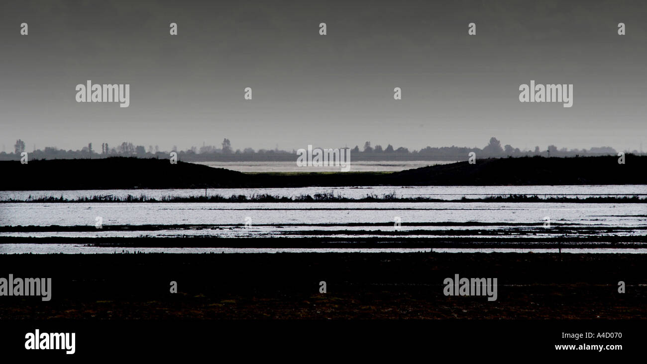 FREISTON SHORE RSPB NATURE RESERVE LINCS SHOWING NEWLY FLOODED AREA ...