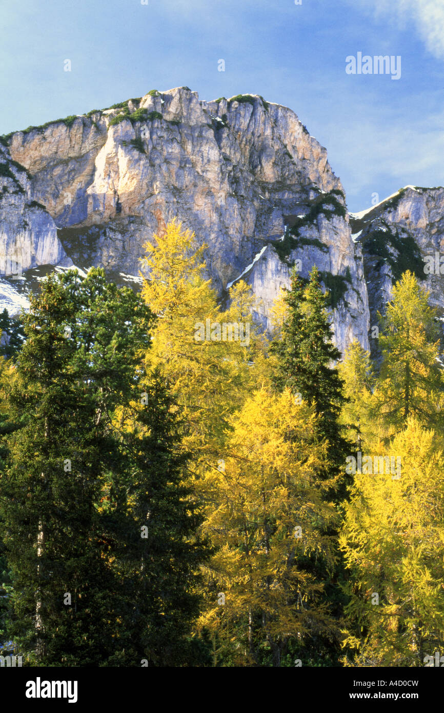 Autumn in the Rofan Mountains. Austria, October Stock Photo - Alamy