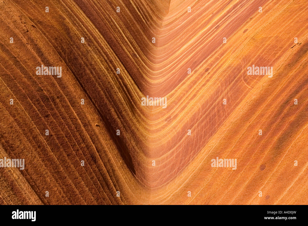 Sandstone, Vermilion Cliffs, Arizona, USA Stock Photo - Alamy