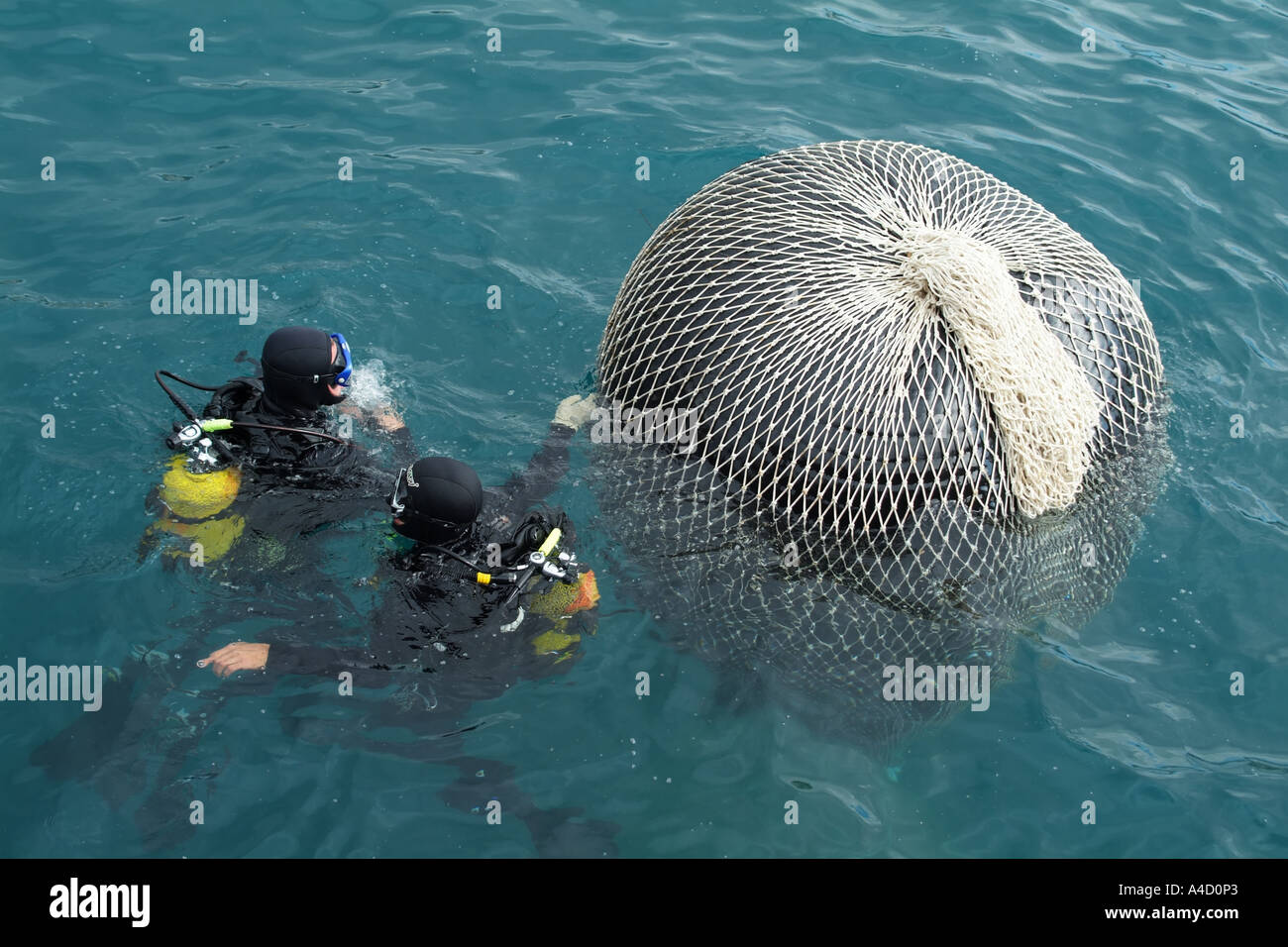 Two professional divers using inflatable lift Atlantic Ocean off ...