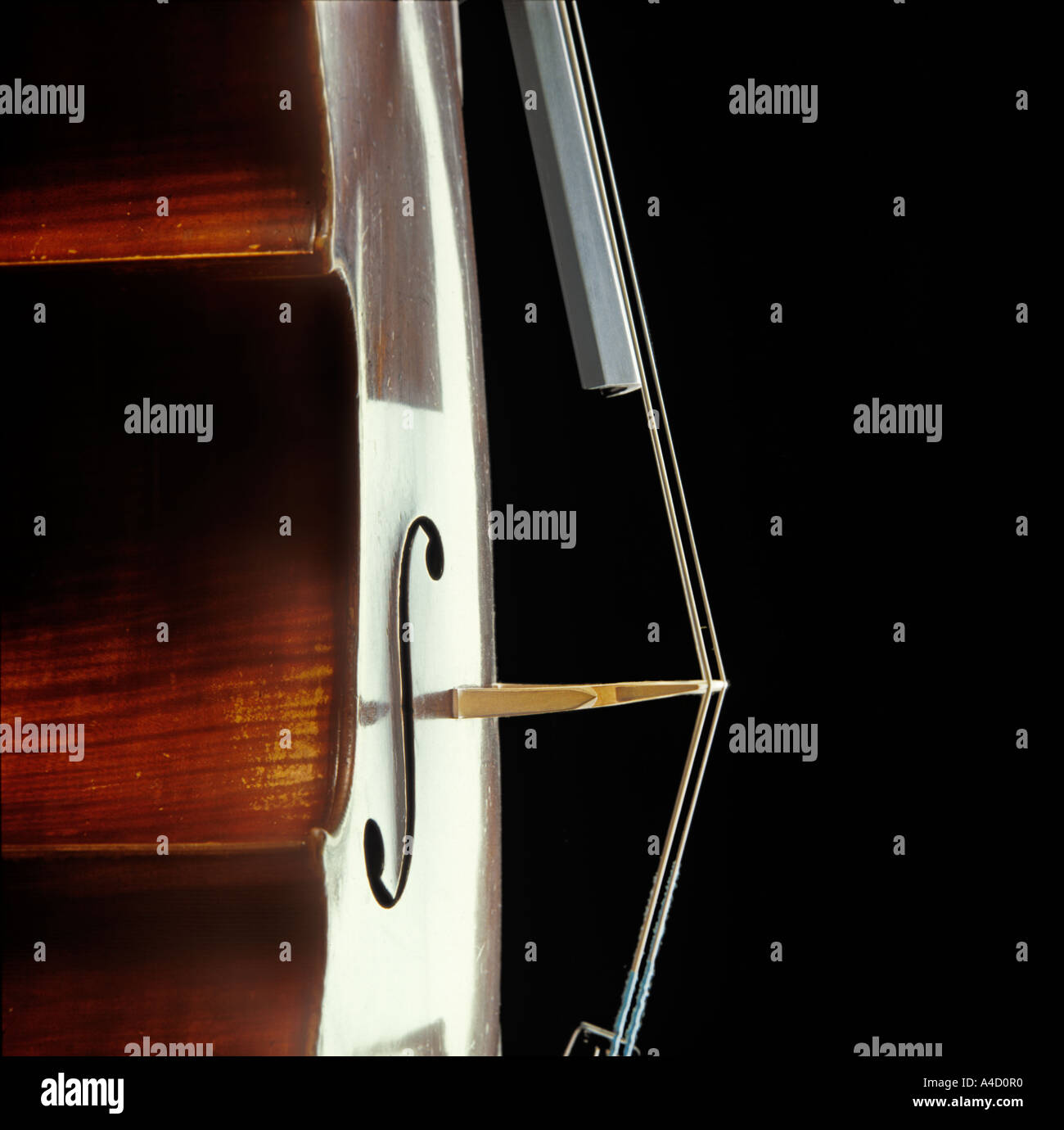 Cello close up 2 Stock Photo - Alamy