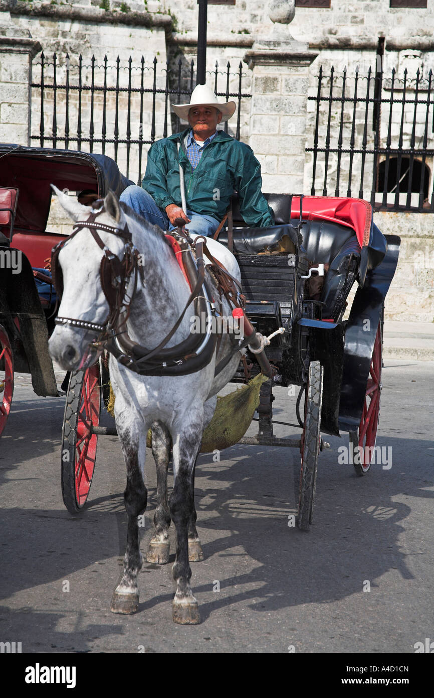 Carriage driver sitting on open top carriage, Plaza de Armas, Havana ...