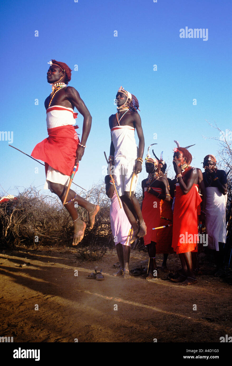 Young men of the Samburu tribe in Kenya perform a traditional jumping ...