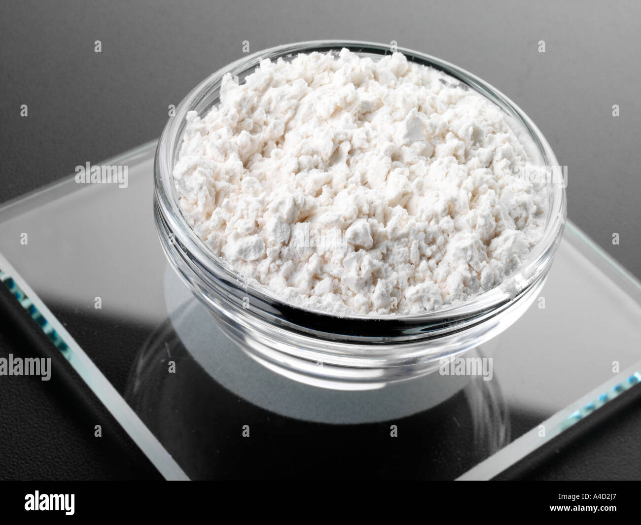 Arrowroot rhizome hi-res stock photography and images - Alamy