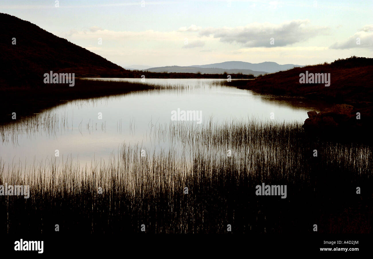 Alcock Tarn, Grasmere, Lake District Stock Photo - Alamy