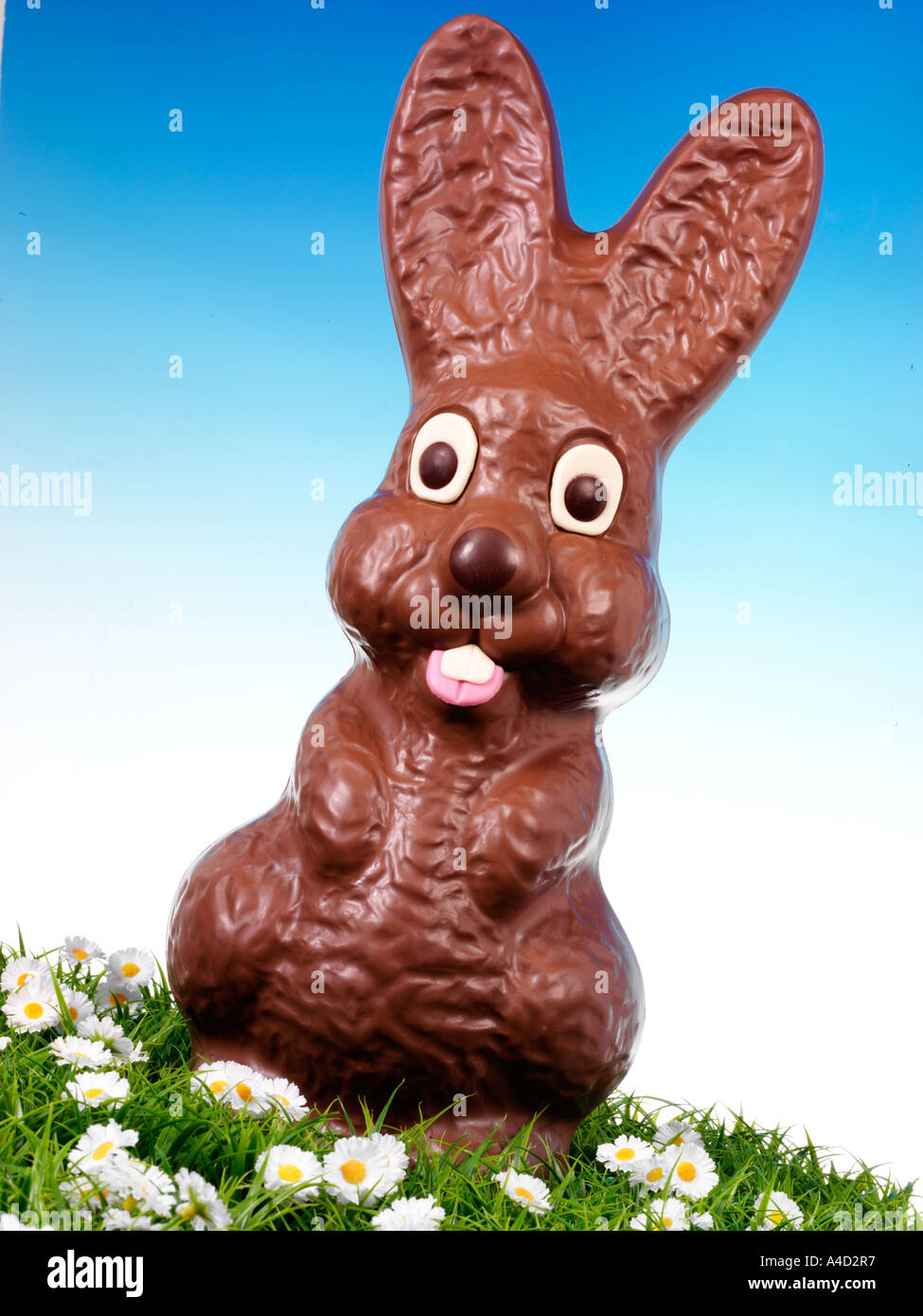CHOCOLATE EASTER BUNNY Stock Photo - Alamy