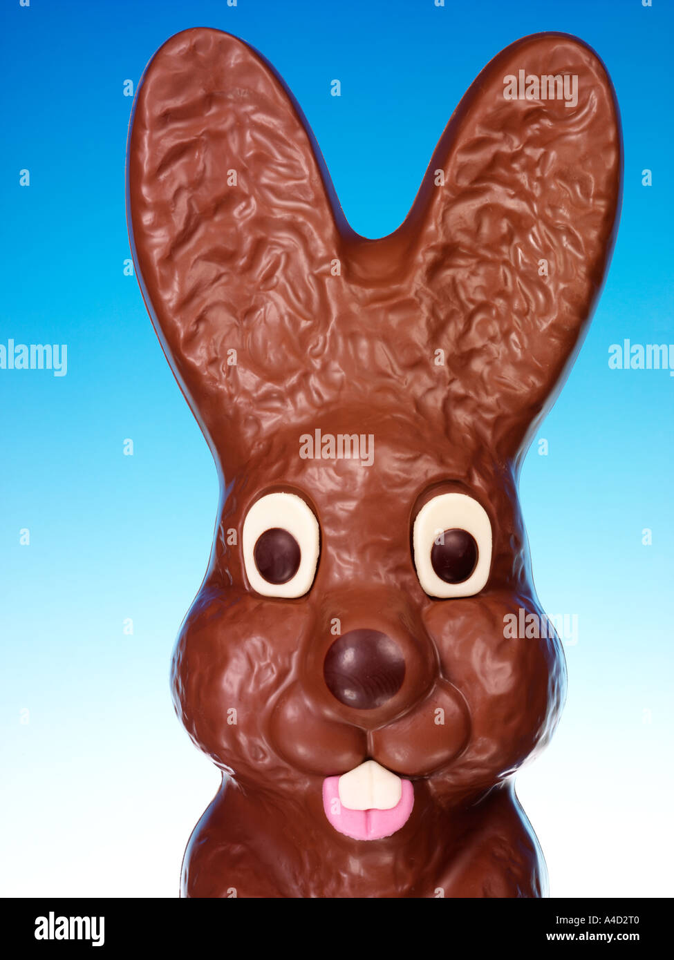 CHOCOLATE EASTER BUNNY Stock Photo - Alamy