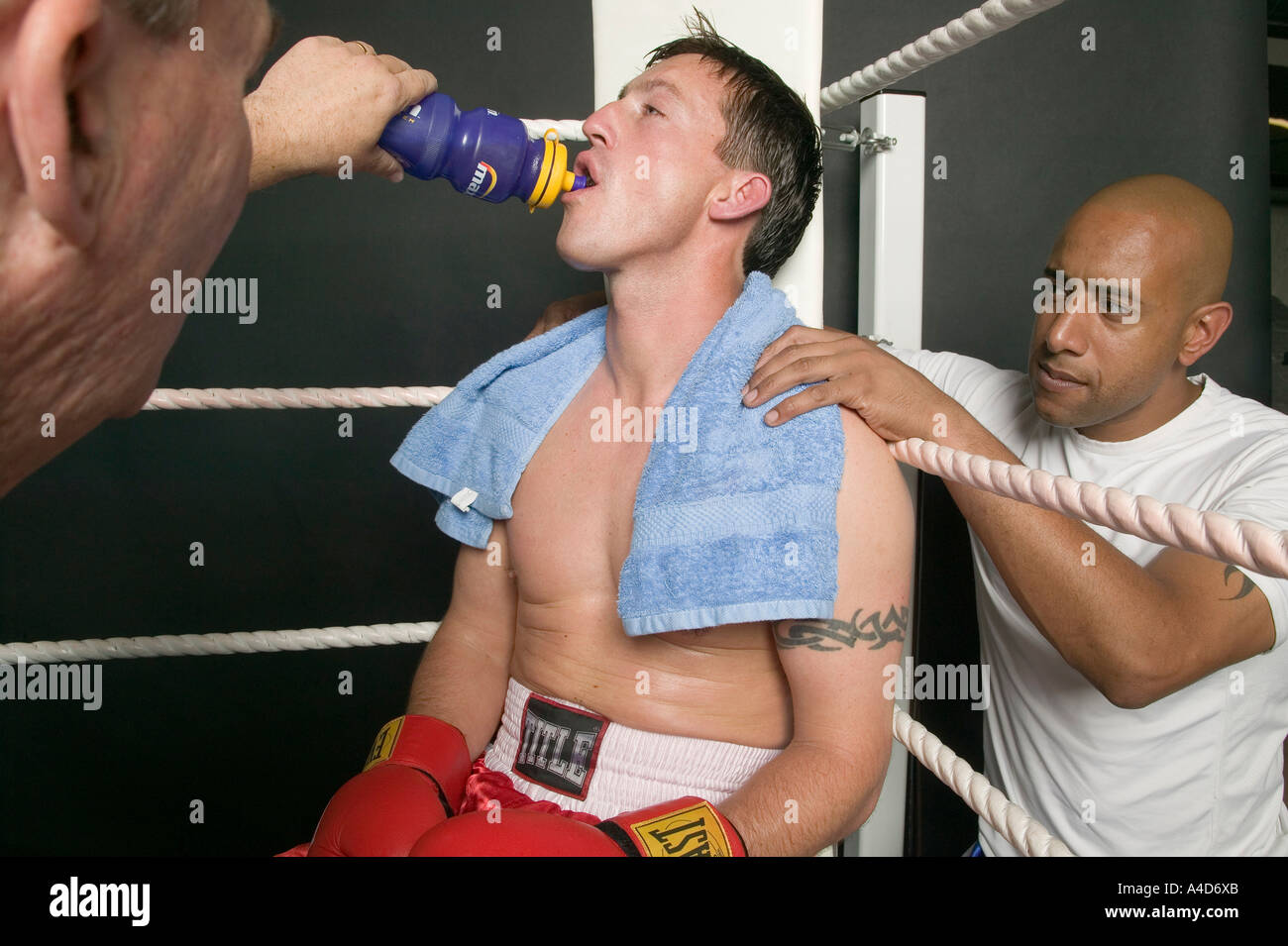 Boxing corner coach drink hi-res stock photography and images - Alamy