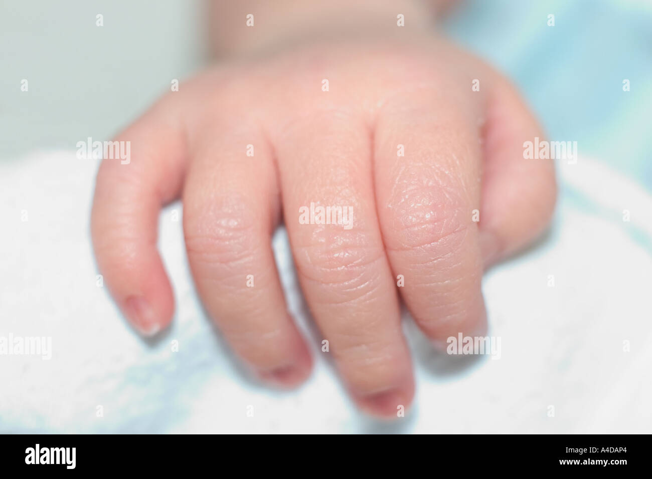Newborn baby's hand Stock Photo - Alamy