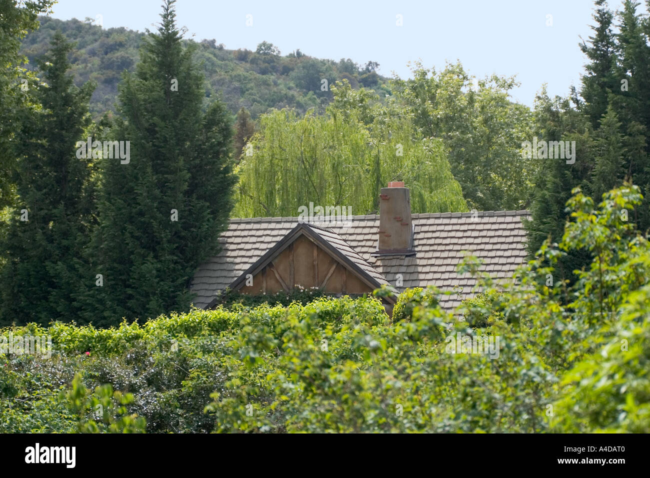 Cabin roof peaking from the trees Stock Photo - Alamy