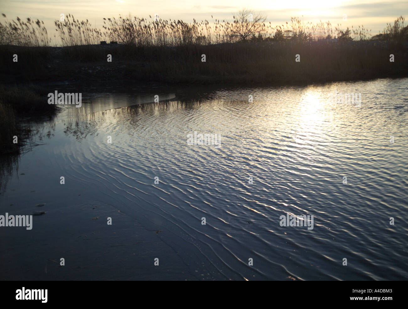 Wetlands nature waterway aquatic marsh usa hi-res stock photography and ...