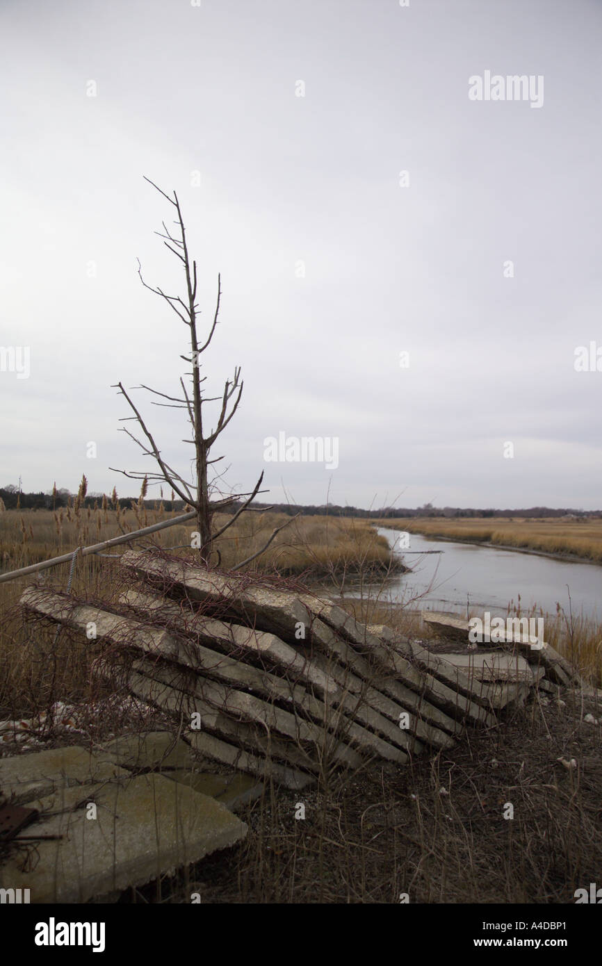 Overgrown concrete slabs on marsh Stock Photo - Alamy