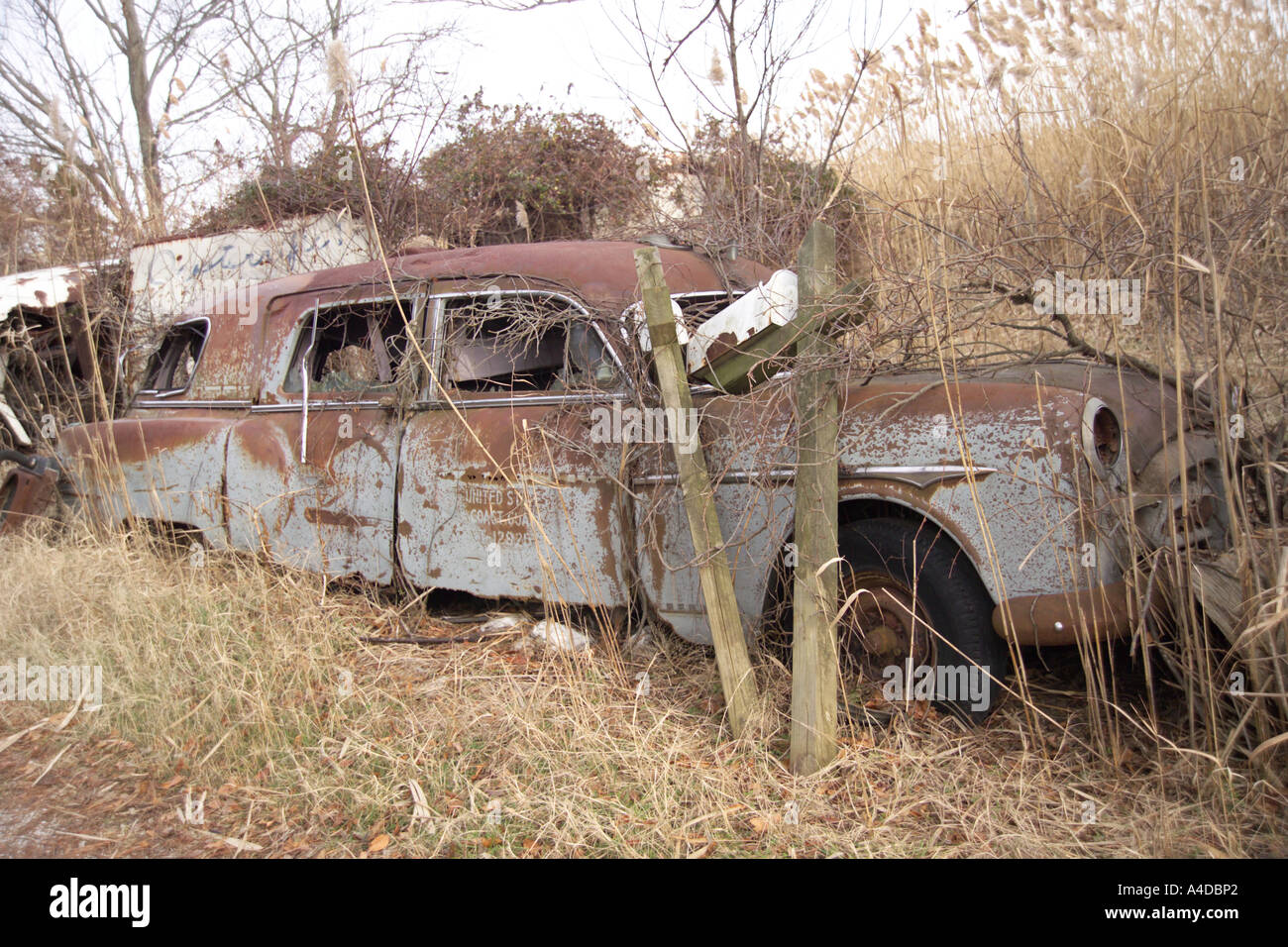 dilapidated car rusts on marsh Stock Photo - Alamy