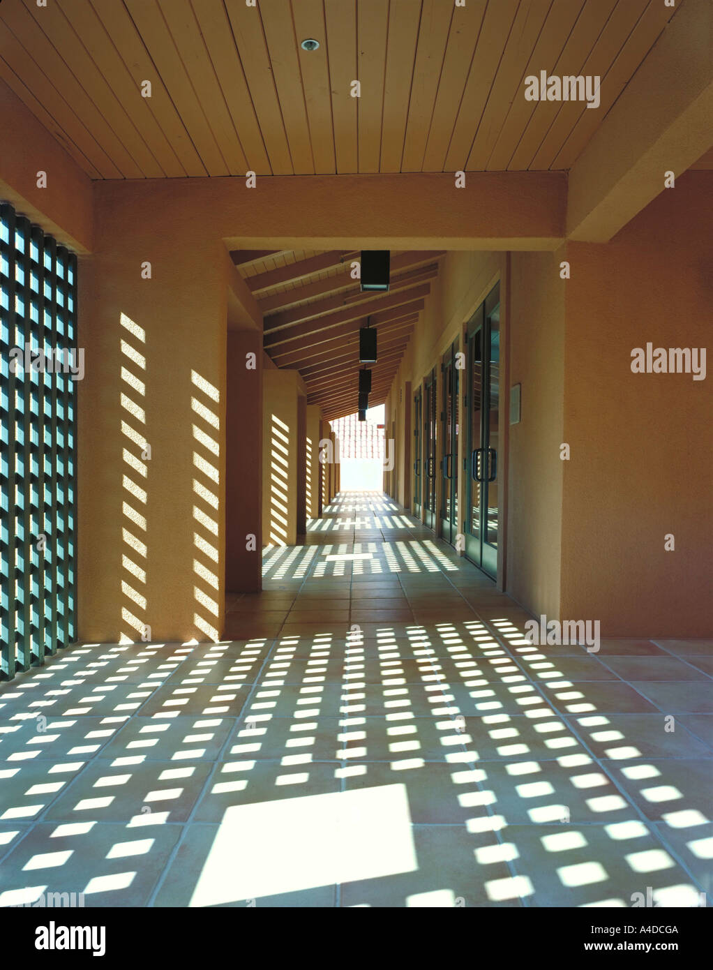 A Sun-Dappled Corridor Stock Photo - Alamy