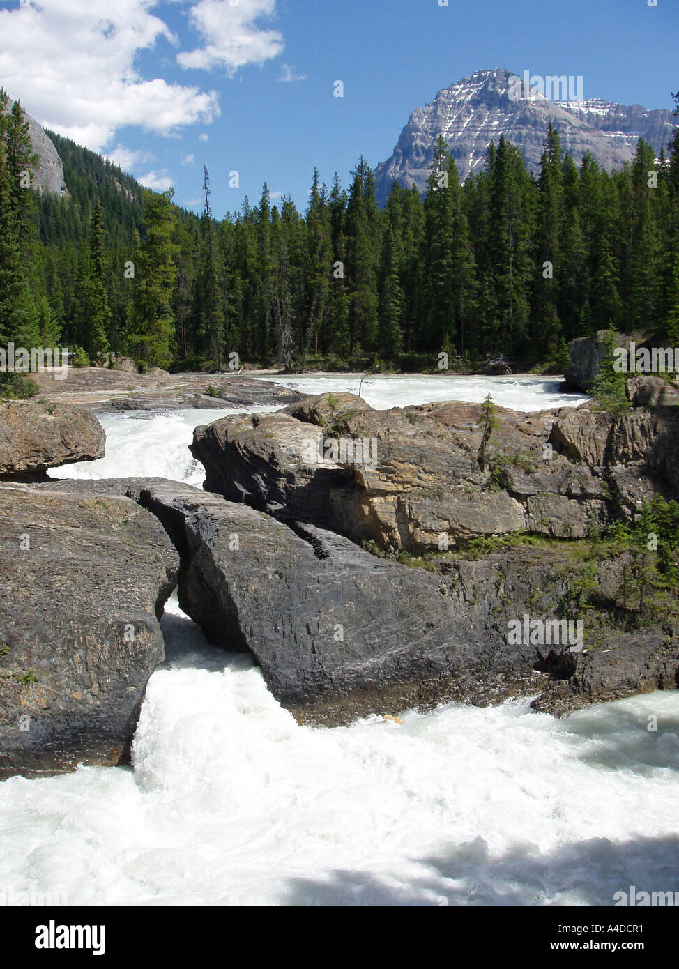Natural Bridge, Yoho National Park, Canada Stock Photo - Alamy