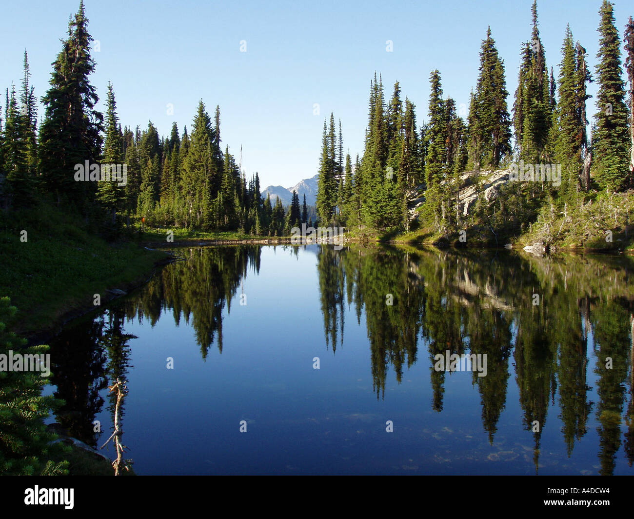 Balsam Lake, Mount Revelstoke National Park, Canada Stock Photo - Alamy