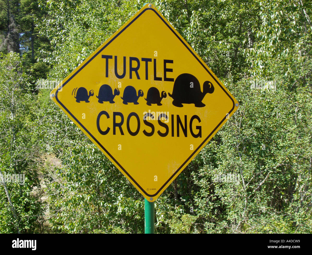 Turtle Crossing Sign Stock Photos & Turtle Crossing Sign Stock Images ...