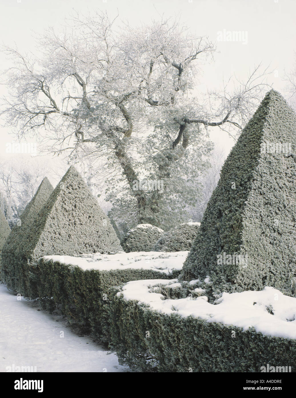 Box parterre hi-res stock photography and images - Alamy