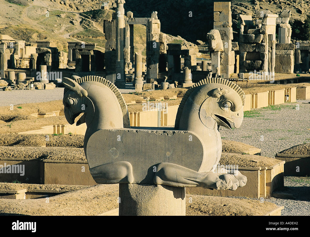 Persepolis ancient persia hi-res stock photography and images - Alamy