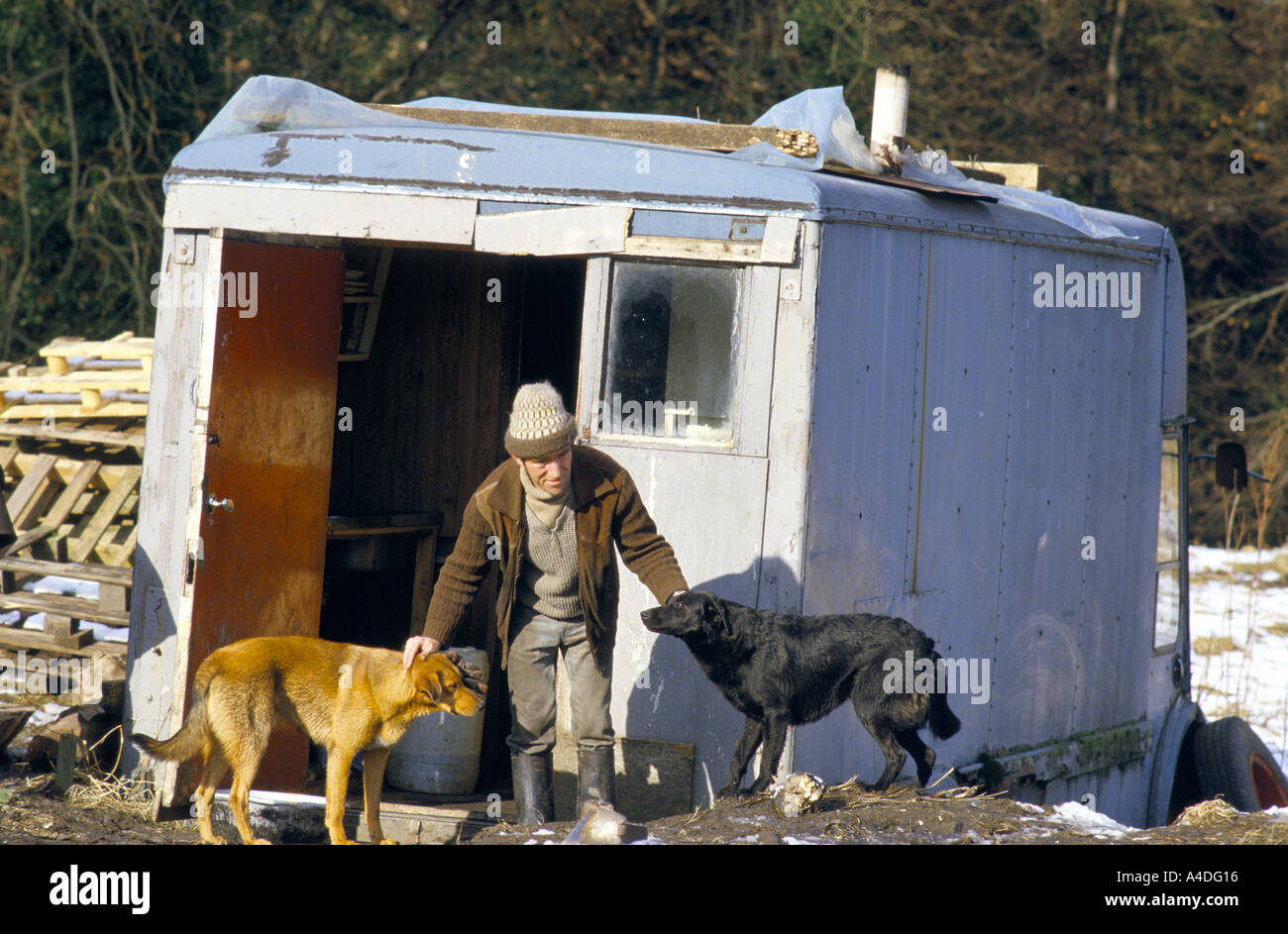 Homeless Man With Dogs High Resolution Stock Photography and Images - Alamy