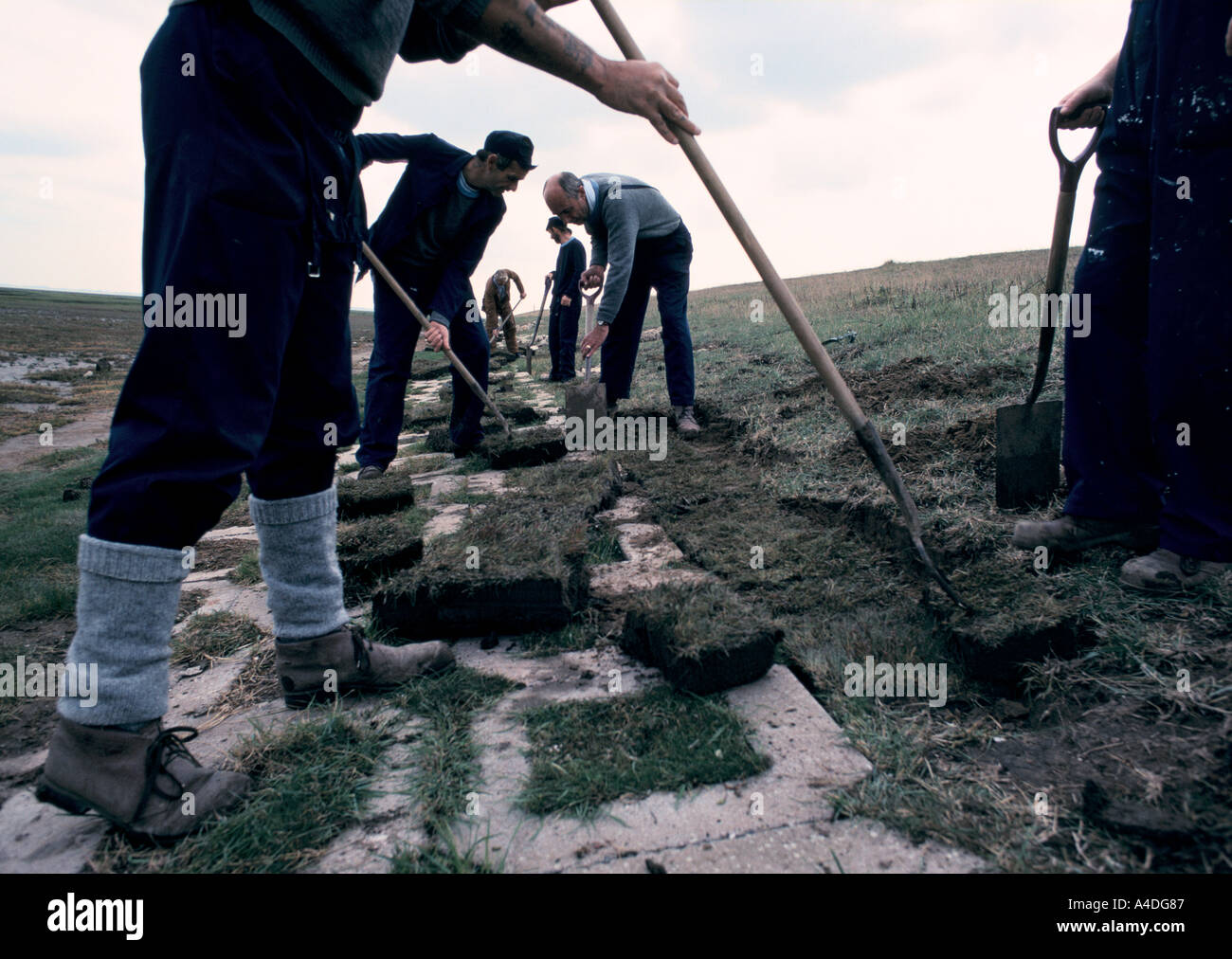 Inmates digging at North Sea Camp Open Prison Stock Photo - Alamy