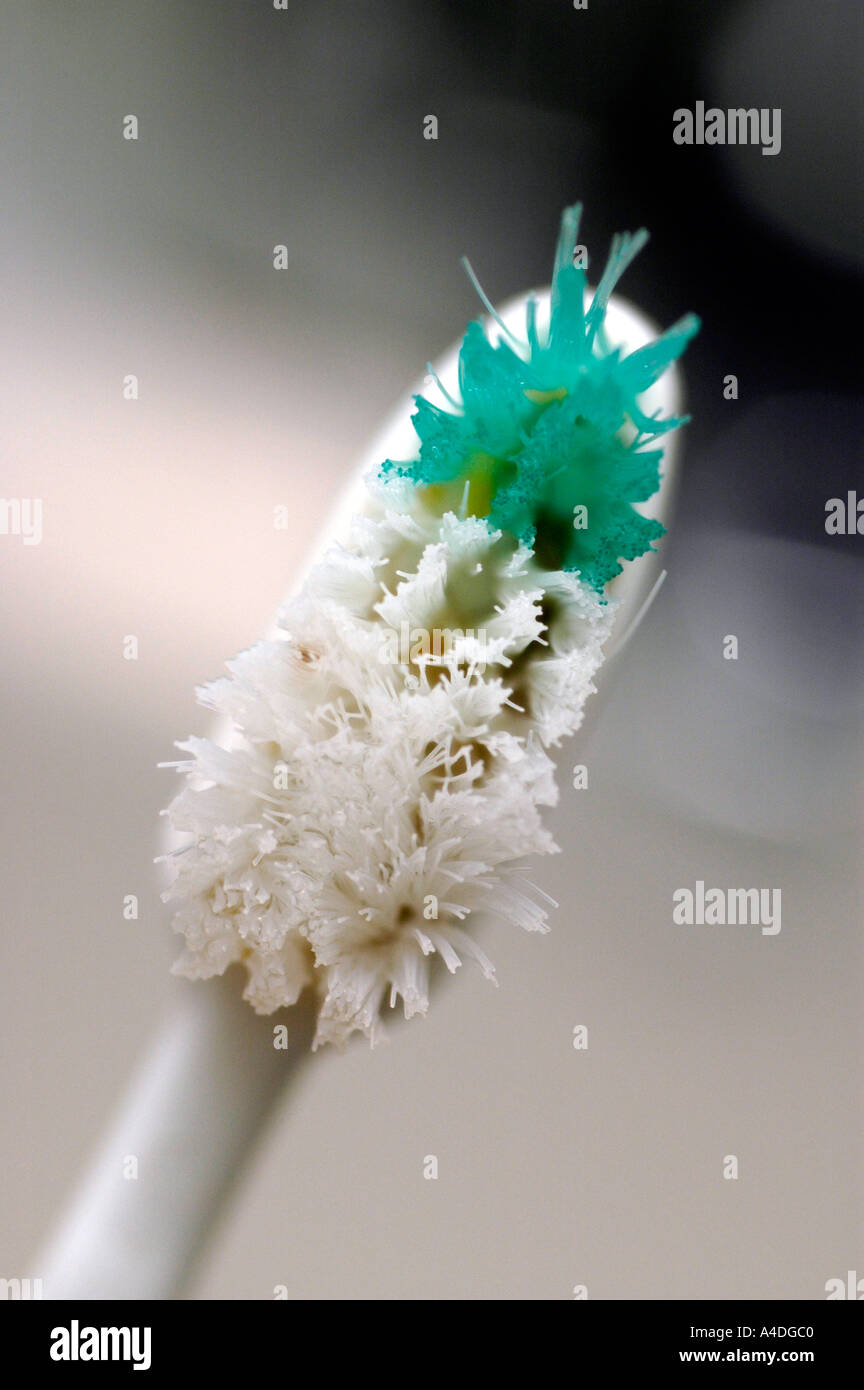 Brush teeth disgusting hi-res stock photography and images - Alamy