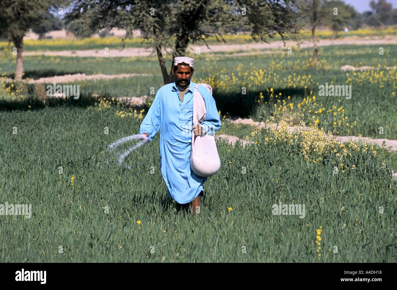 Farmer Sowing Seeds Stock Photos & Farmer Sowing Seeds Stock Images - Alamy