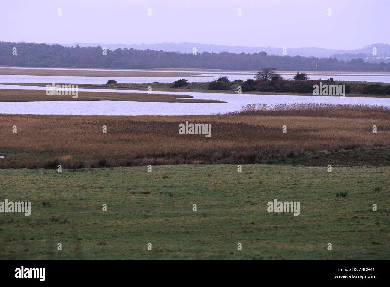 Wetlands, Wytch Farm Oil Field, Dorset England Stock Photo - Alamy