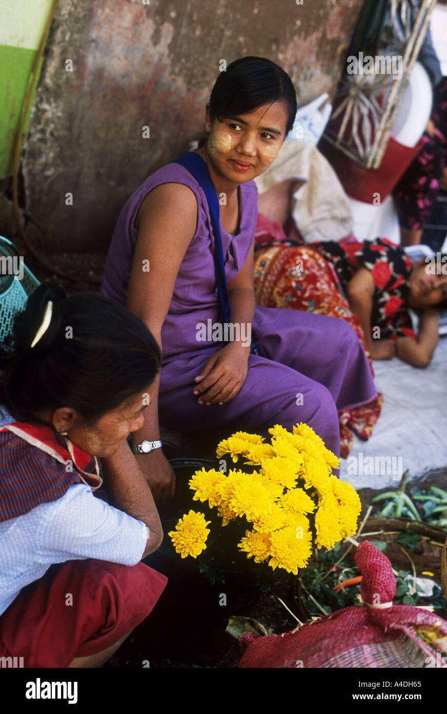 Yellow flower myanmar burma hi-res stock photography and images - Alamy