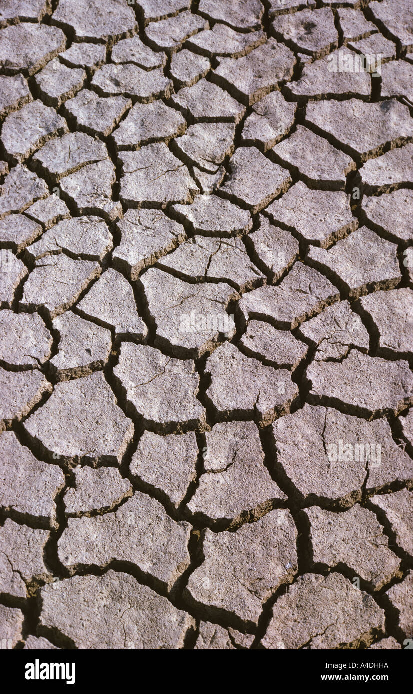 Abstract cracking pattern which appears on surface when wet soil dries ...