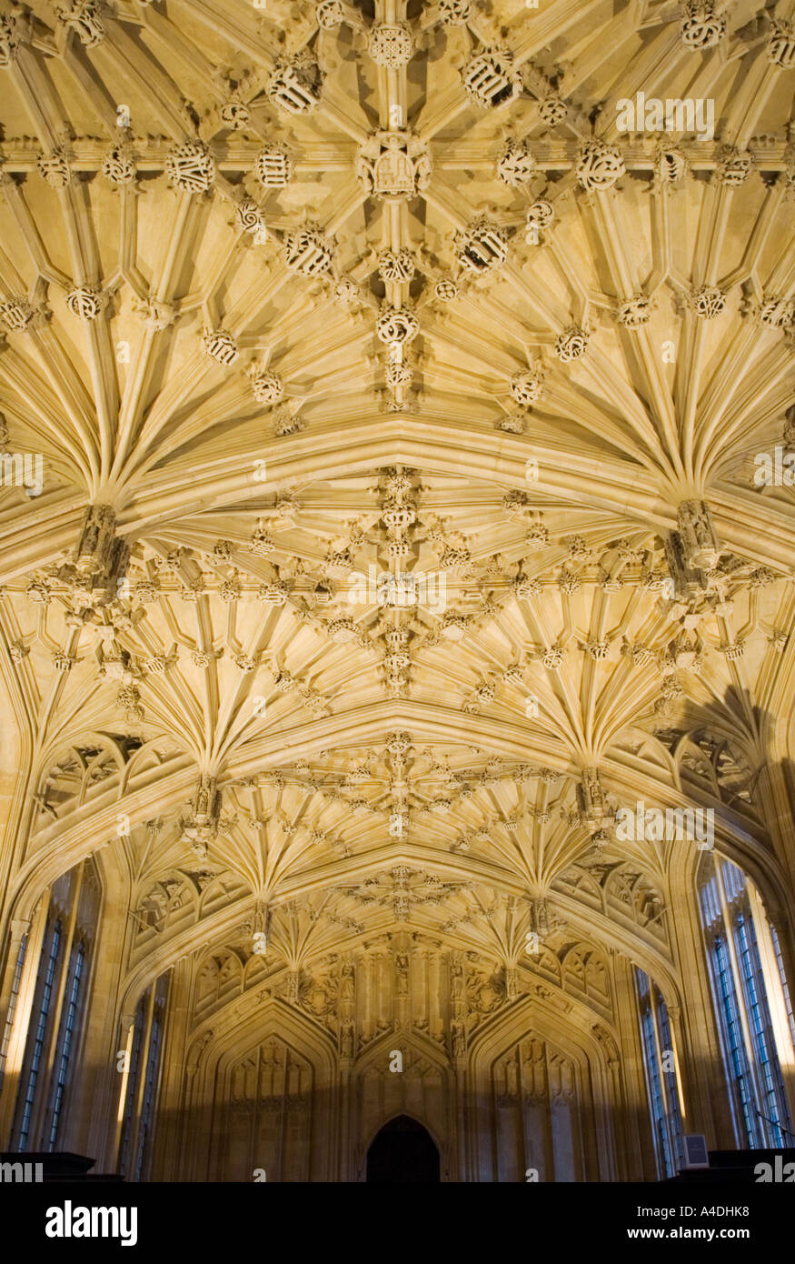 Lierne vaulted ceiling - Divinity School - Oxford Stock Photo - Alamy