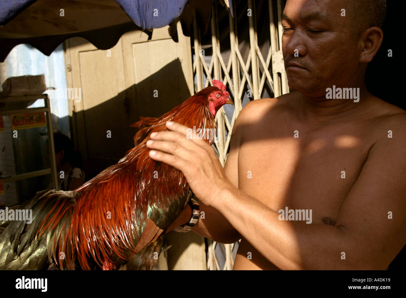 Man with a rooster hi-res stock photography and images - Alamy