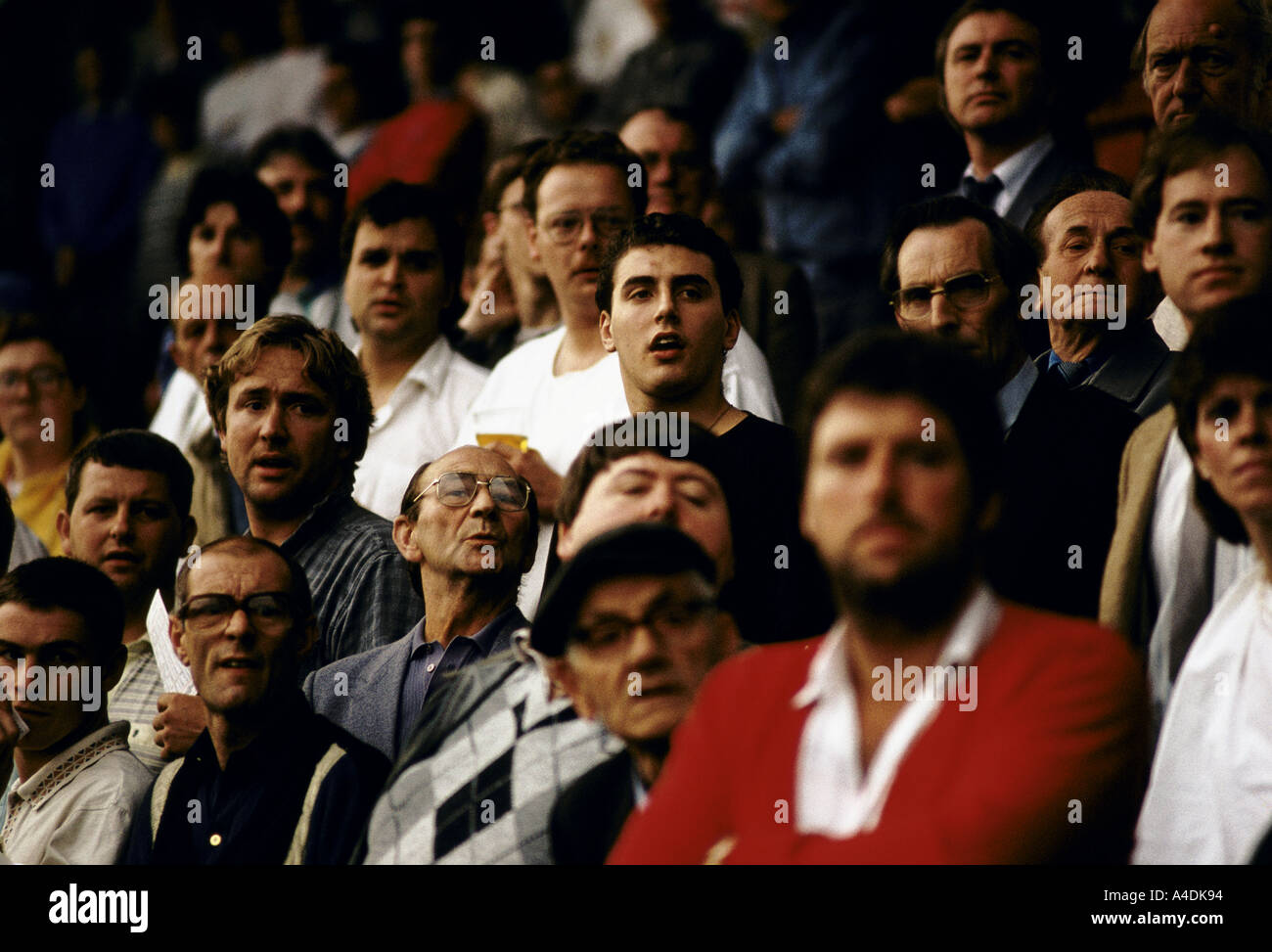 Walthamstow Stadium crowd scene, London Stock Photo - Alamy
