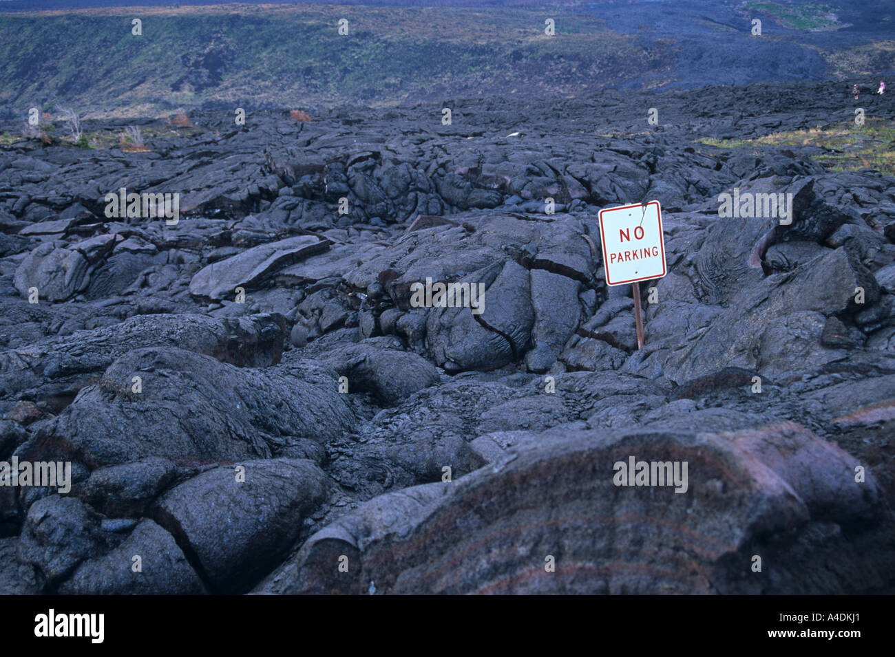 A No Parking sign in a cooled lava flow in Volcanoes National Park ...