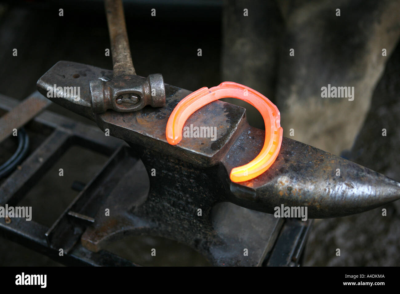 A hammer and a red hot horseshoe on a farriers anvil. England, UK Stock ...