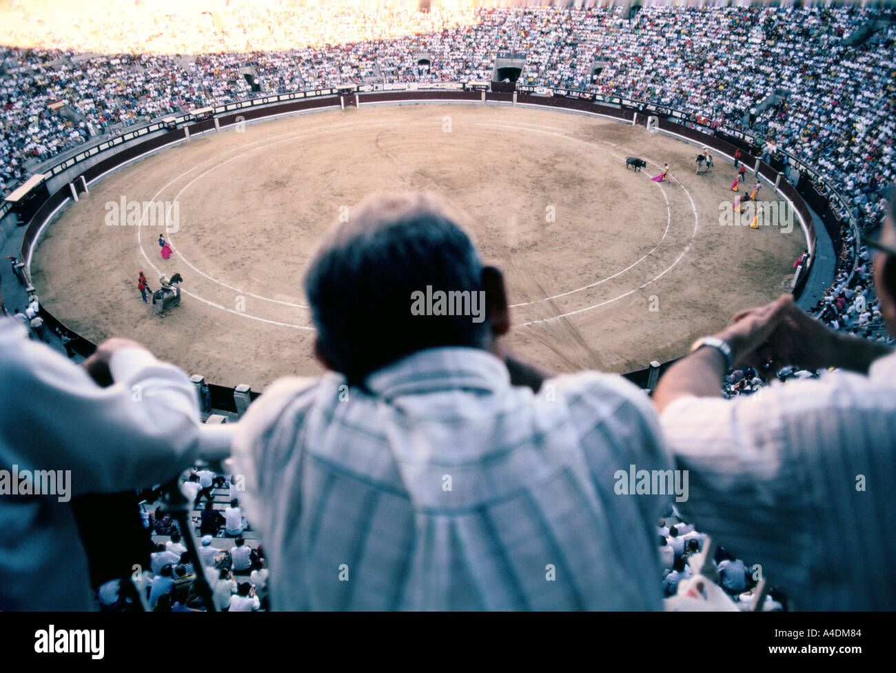 Audience watching a bullfight hi-res stock photography and images - Alamy
