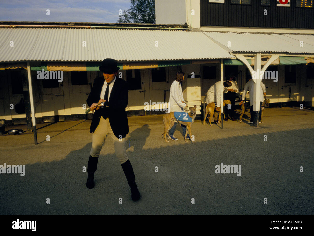 Greyhound racing at Walthamstow Stadium, just before the race Stock ...