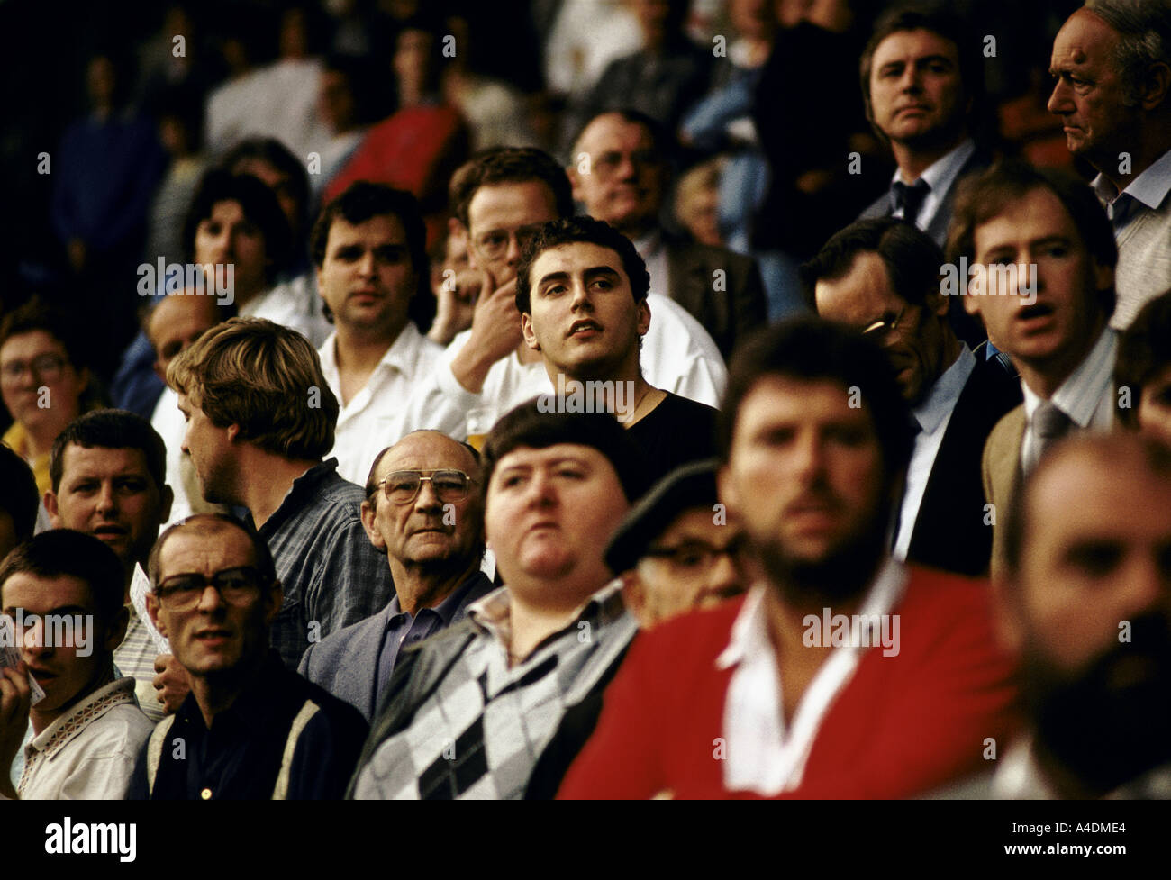 A crowd scene at the greyhound racing stadium in Walthamstow, London ...
