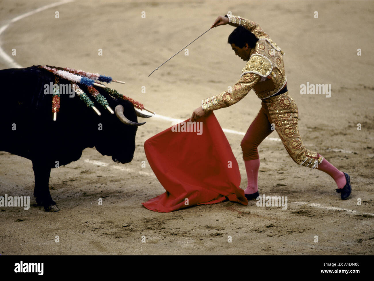 Matador Killed By Bull