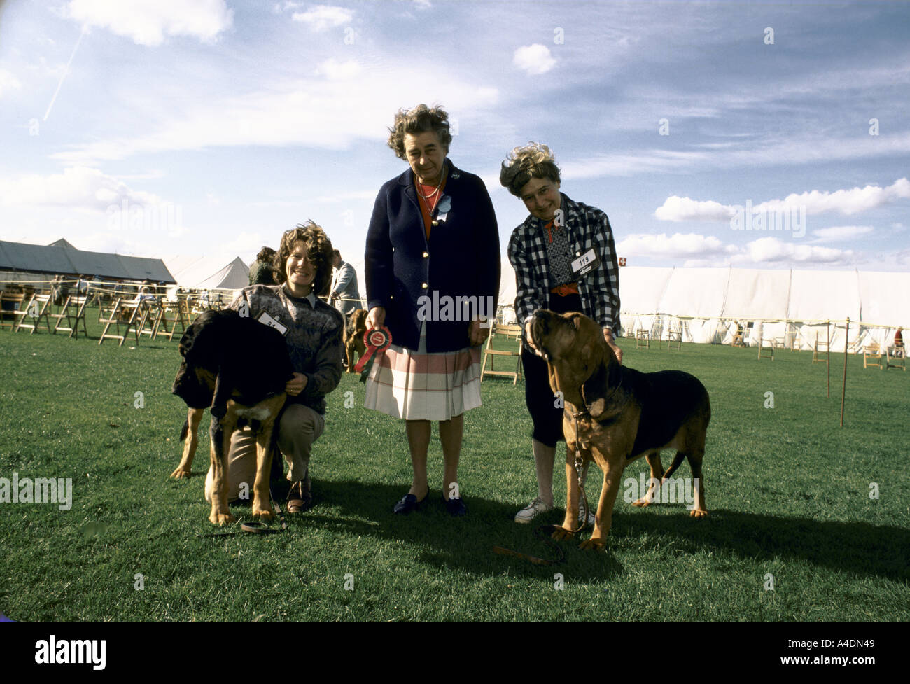 A female judge presenting a rosette to owners with their dogs at the ...