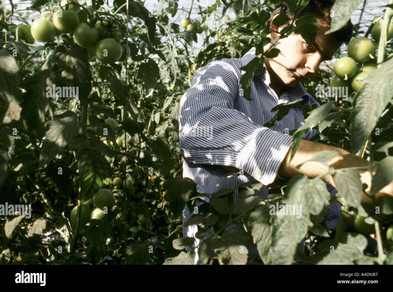 Open prison gardening hi-res stock photography and images - Alamy