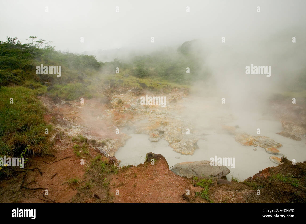 Hornillas costa rica hi-res stock photography and images - Alamy