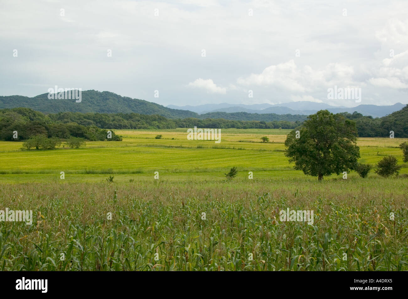 Crops and pasture land around Santa Ana, Guanacaste, Costa Rica Stock ...