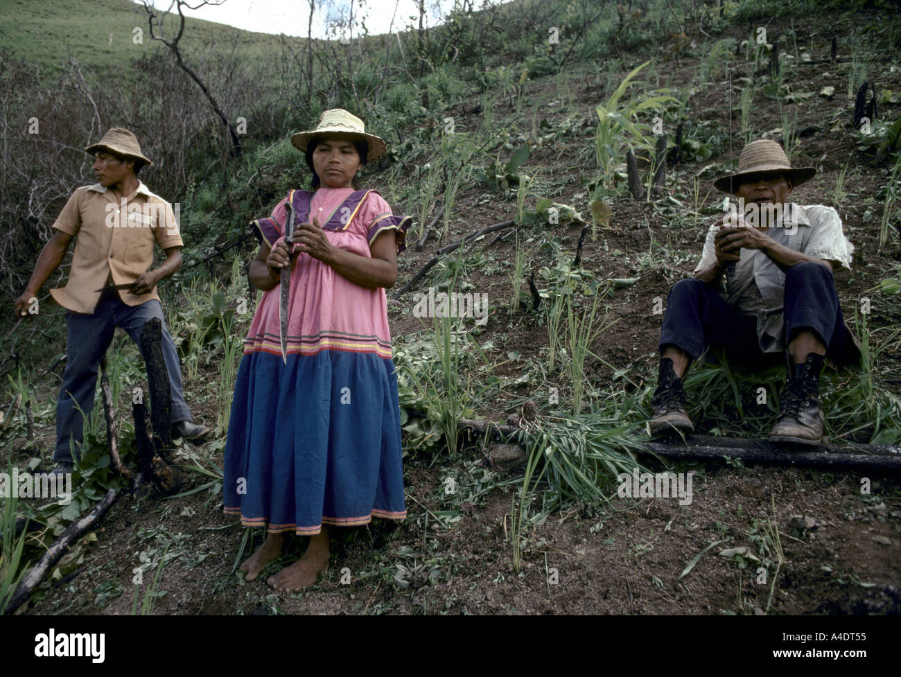 Panamanian men hi-res stock photography and images - Alamy