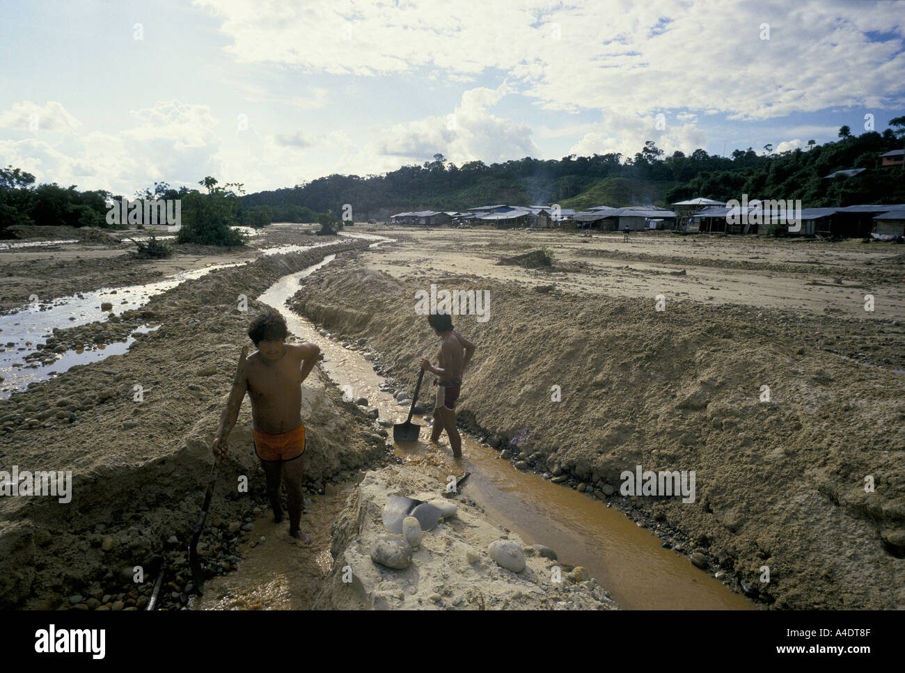 Gold Digging High Resolution Stock Photography and Images - Alamy