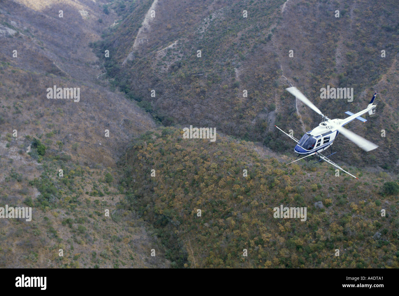 Opium fields mexico hi-res stock photography and images - Alamy