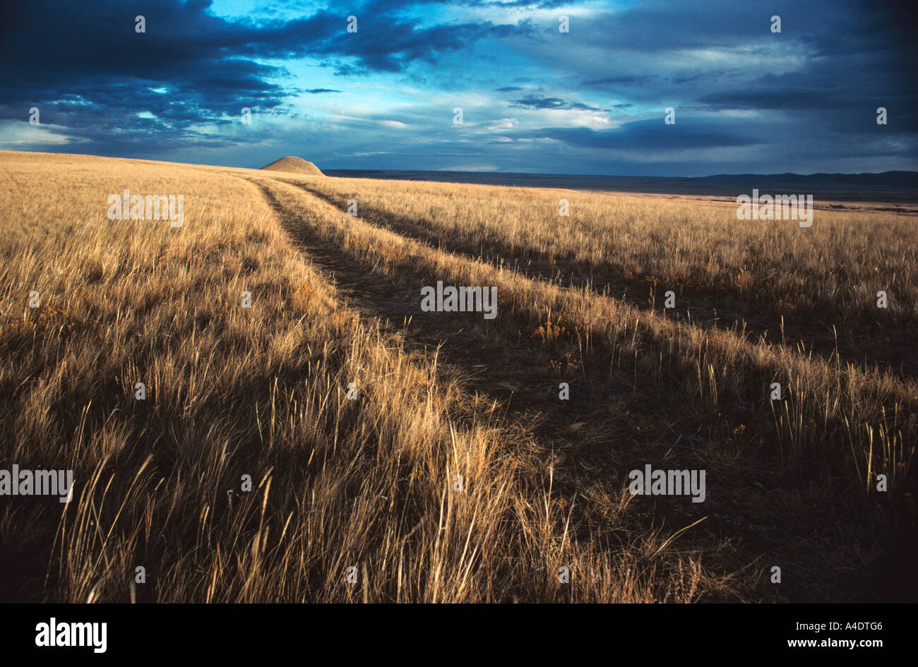 Endless grasslands hi-res stock photography and images - Alamy