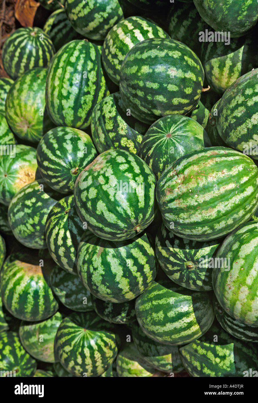 Watermelons in Patitiri Market Alonissos Island Greece Stock Photo - Alamy
